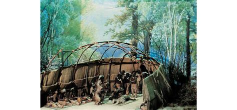 Eastern Woodlands Shelter