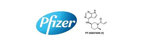 Cde Jak Pf Ritlecitinib Cde