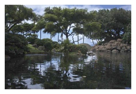 High Dynamic Range Scene A Original B Clahe C Agcwd D Ssla Download Scientific