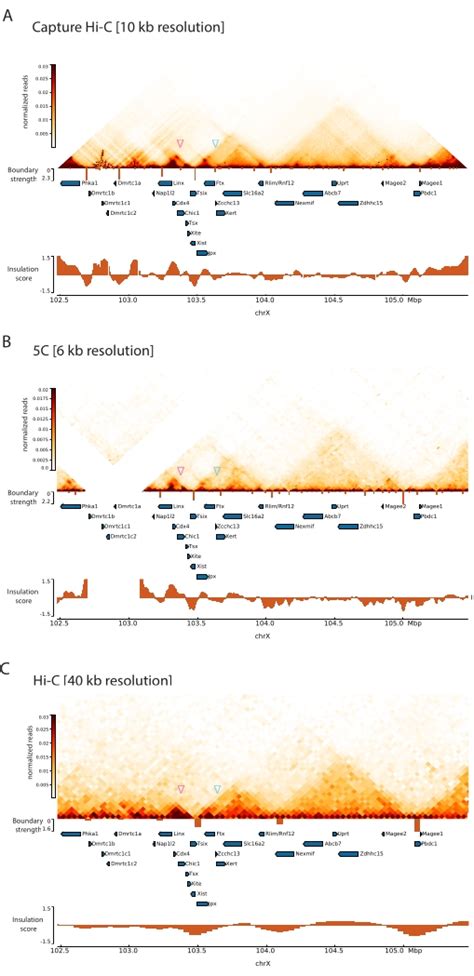 Deciphering High Resolution 3d Chromatin Organization Via Capture Hi C