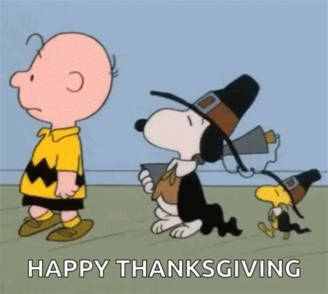 Charlie Brown Thanksgiving  Charlie Brown Thanksgiving Costume