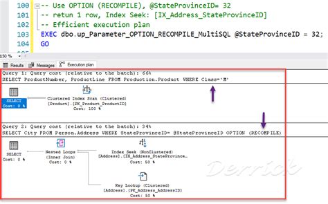 德瑞克：sql server 學習筆記 [sql server] parameter sniffing option recompile