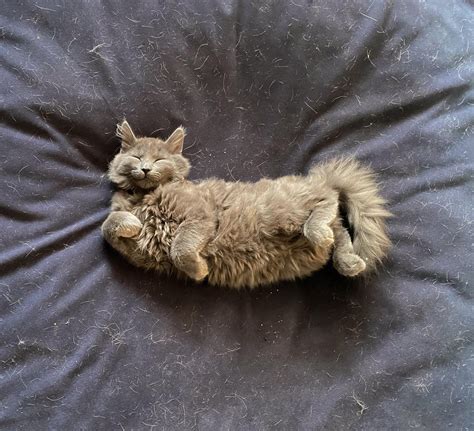 Relaxing Feetsies R Curledfeetsies