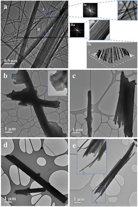 A Deep Look Into Erionite Fibres An Electron Microscopy Investigation