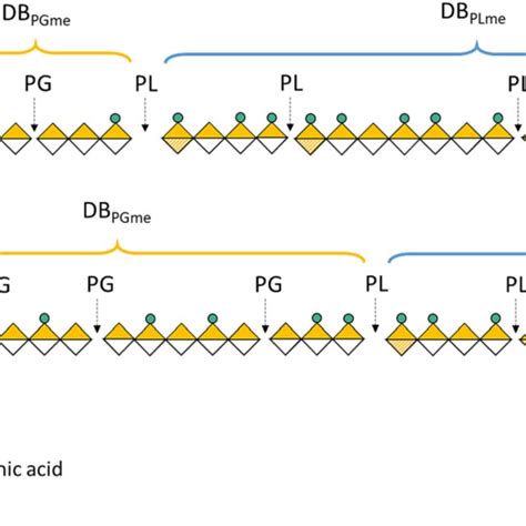 Schematic Representation Of A Hypothetic Backbone Of Two High Dm Download Scientific Diagram