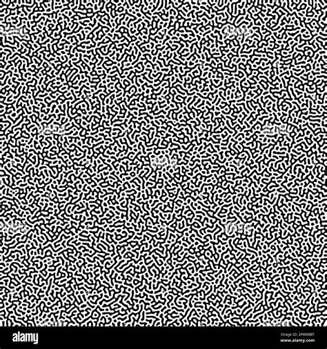 Turing Pattern Backgroundblack And White Turing Pattern You Can Use