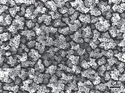 Sem Image Of Pd Nanotubes The Experimental Condition Was 0135 Mm Pvp Download Scientific