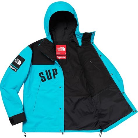 Whats Your Favourite Color Supreme®the North Face® Arc Logo