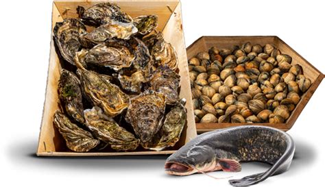 Amelander Vis En Schelpdieren Amelands Produkt