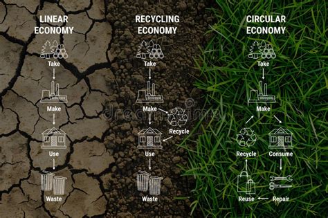 Comparación Del Reciclado Lineal Y La Infografía De La Economía