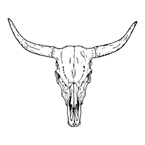 Bull Skull And Floral Vector Pinoyfaves Hot Sex Picture