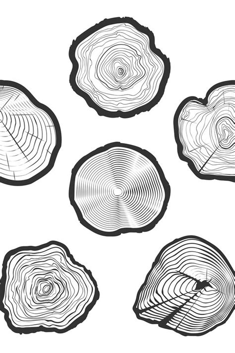 Tree Rings Vector Set