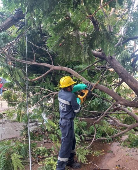 Rains Lash Telangana Imd Hyderabad Forecasts More Downpours Today