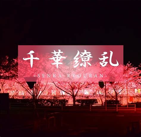 【the Best Amazing～究極の煌めき～】綾波のこと、忘れないよ。決して出会うはずの無かった運命が動き出す。二人だけの新世界。綾波