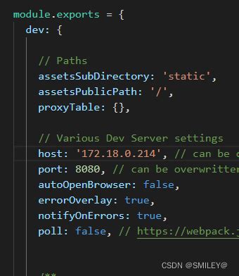 同一局域网下访问vue项目 vue在局域网内访问 CSDN博客