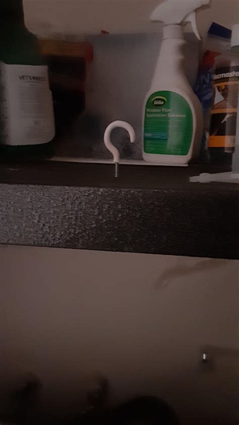 Seeing The Hook Thingy Above My Washing Machine Made Me Instinctively