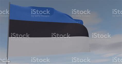 플래그 에스토니아 애국주의 국가 자유 3d 일러스트 0명에 대한 스톡 사진 및 기타 이미지 0명 개념 공휴일 Istock