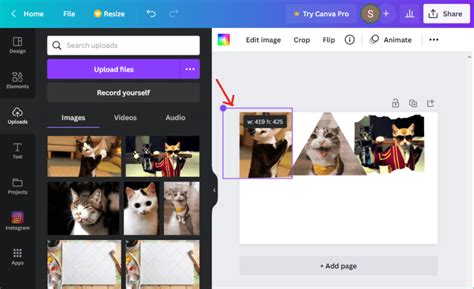 How To Use Canva Frames The Nature Hero