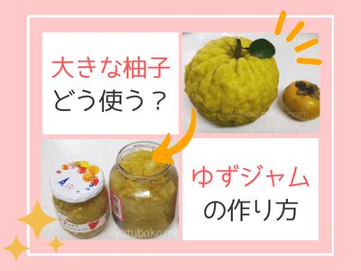 大きい鬼柚子の食べ方使い方は鬼ゆずジャムの作り方レシピ よつば家の小箱 よつばこブログ