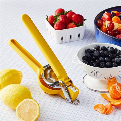 Lemon Juice Maker