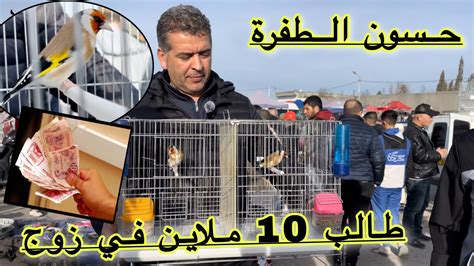طالبين 10 ملاين في زوج ا طفرات الحسون النادرة تقتحم الأسواق الشعبية من