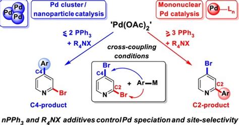 Switching Catalyst Selectivity Chemistry University Of York