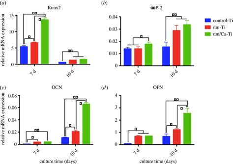 gene expression of mc3t3 e1 cultured on the control ti nm ti and