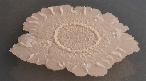 Bacillus Subtilis Is Microbe Of The Year 2023