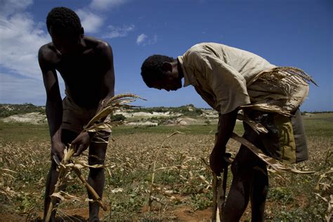The Most Severe Drought In 40 Years Four Years On