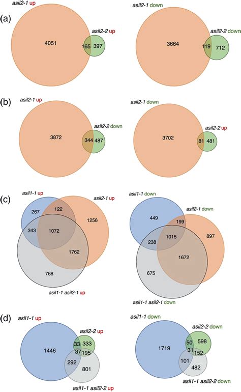 Comparisons And Overlaps Of Differentially Expressed Genes Degs In