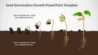 Seed Germination Growth PowerPoint Template SlideModel