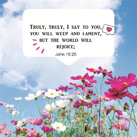 Bible Study Daily Explanation And Encouragement John