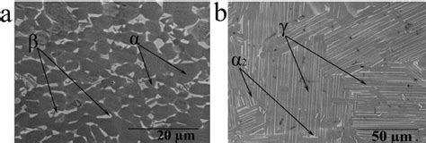 Sem Micrographs Of A Annealed Ti64 B Hip Tial Download