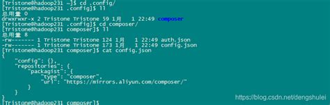 如何安装composer？怎么将composer切换为国内源？（阿里源）composer更换阿里源 Csdn博客