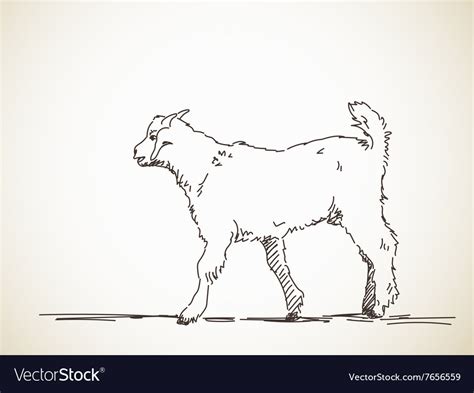 Yeanling Royalty Free Vector Image Vectorstock