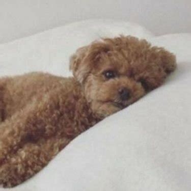 돌 on Twitter 여고 너토밤 문건전지 말리푸 봉보레 https t co YJmoG RZXH Twitter