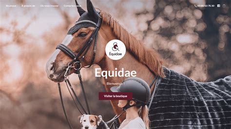 Equidae Proxilog