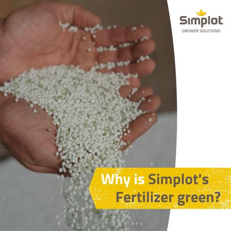 Have You Ever Wondered Why Simplots Phosphate Fertilizer Is Colored