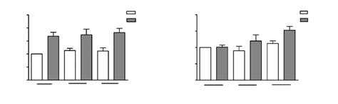 Effect Of Atra On Fludarabine Induced Cytotoxicity Primary Cll Cells