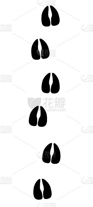 牛的痕迹牛蹄的脚印孤立的黑色图标矢量插图上的白色背景