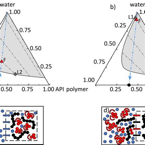 Schematic Ternary Phase Diagram Of An Api Polymer Water System With