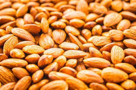 Texturas Y Superficie De La Nuez De Las Almendras Con El Modelo Imagen