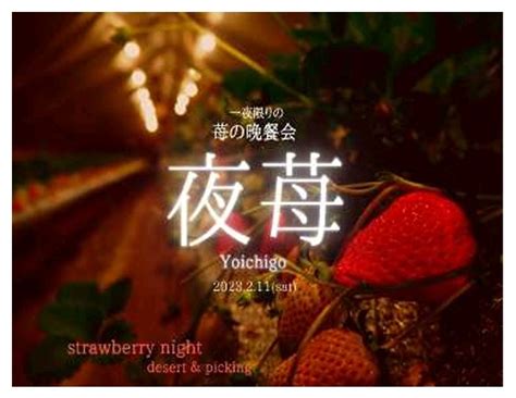 神戸観光局による、「一夜限りのイチゴの晩餐会 夜苺」の開催について 神戸市会議員 中央区 三木しんじろう