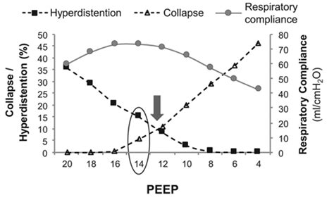 Positive End Expiratory Pressure Peep • Litfl • Ccc Ventilation