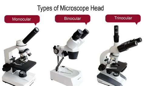How To Elect Among Monocular Binocular Trinocular Microscopes