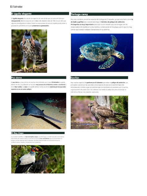 Spesies Terancam Punah Di Dunia Pdf
