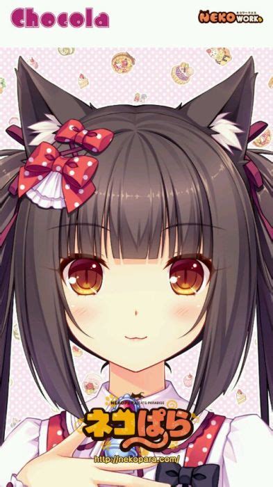 Chocola Neko Paradise