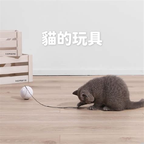 Mao And Kou 貓咪寵物用品 美好的貓狗生活