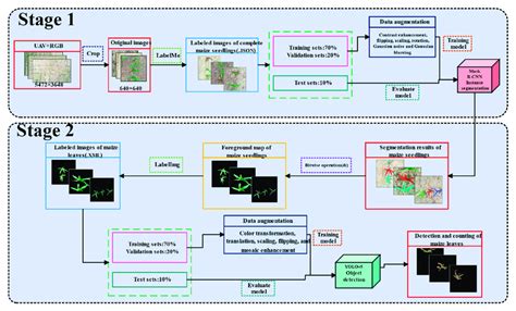 Flow Chart Of Maize Seedlings And Leaves Detection Download