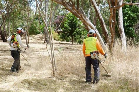 Landscapinggrassslashing Agresolve